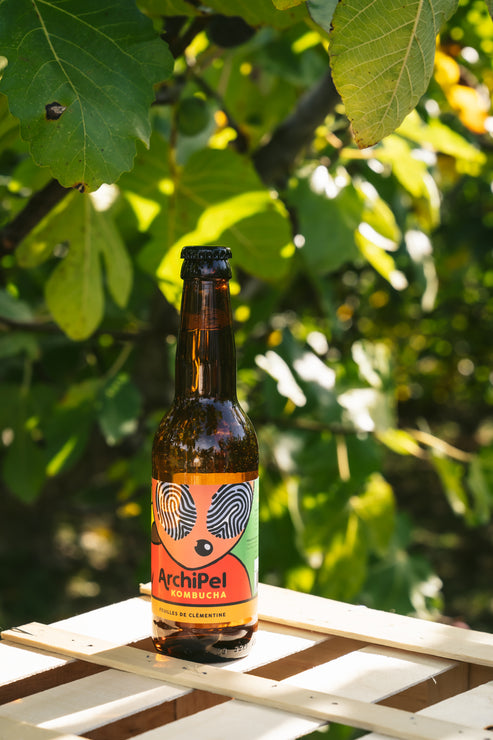 Kombucha clémentine Bio - 33cl (x12) – Archipel
